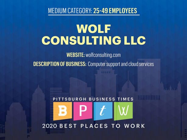 Careers in IT Consulting & Support in PA | Wolf Consulting