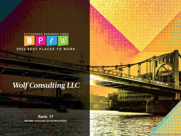 Careers in IT Consulting & Support in PA | Wolf Consulting